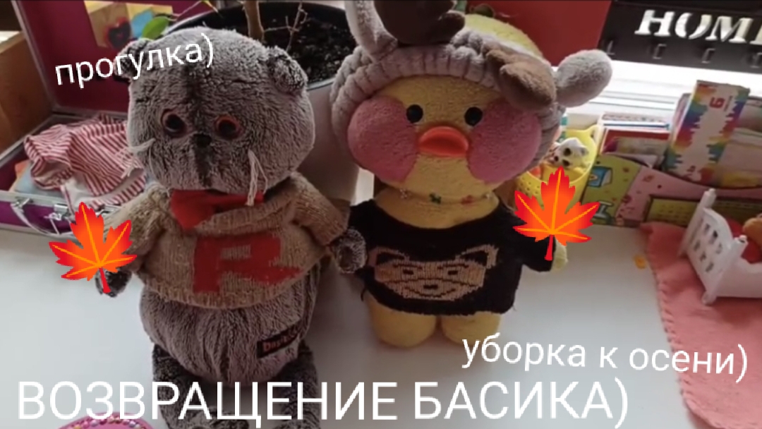 ВОЗВРАЩЕНИЕ БАСИКА🍁🐱) УБОРКА К ОСЕНИ) НАША ПРОГУЛКА ПОД ПЕРВЫМ СНЕГОМ)))🍂❤️