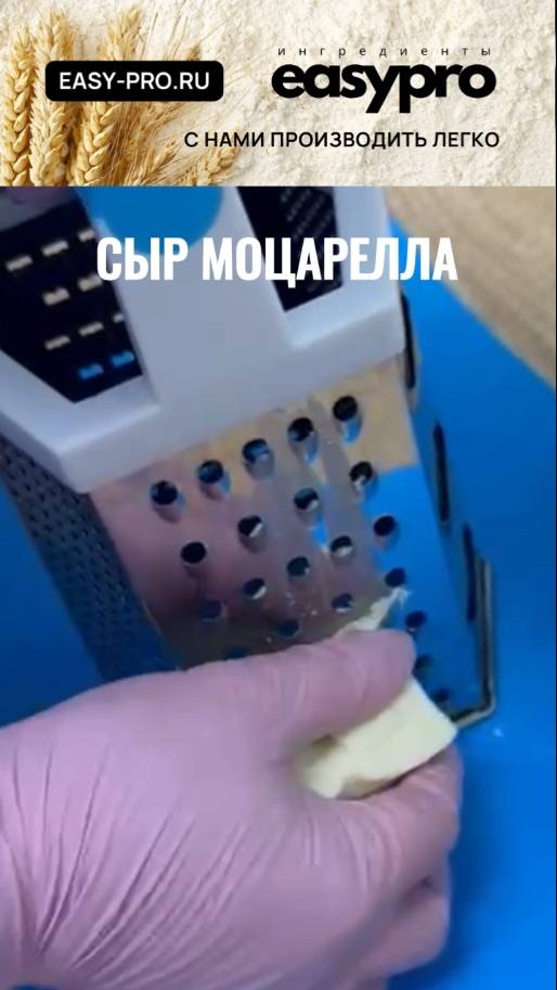 © EASYPRO - тест сыра моцарелла.