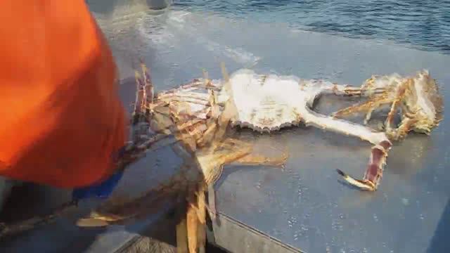 ПРОМЫСЕЛ ЖИВОГО КРАБА (Весь процесс).