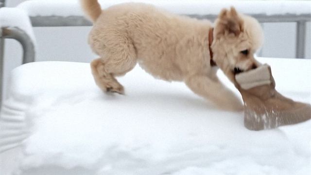 Элизабет Генералова -  “COZY: Уютная пара для твоей истории” («КАРИ: Вселенная внутри тебя»)