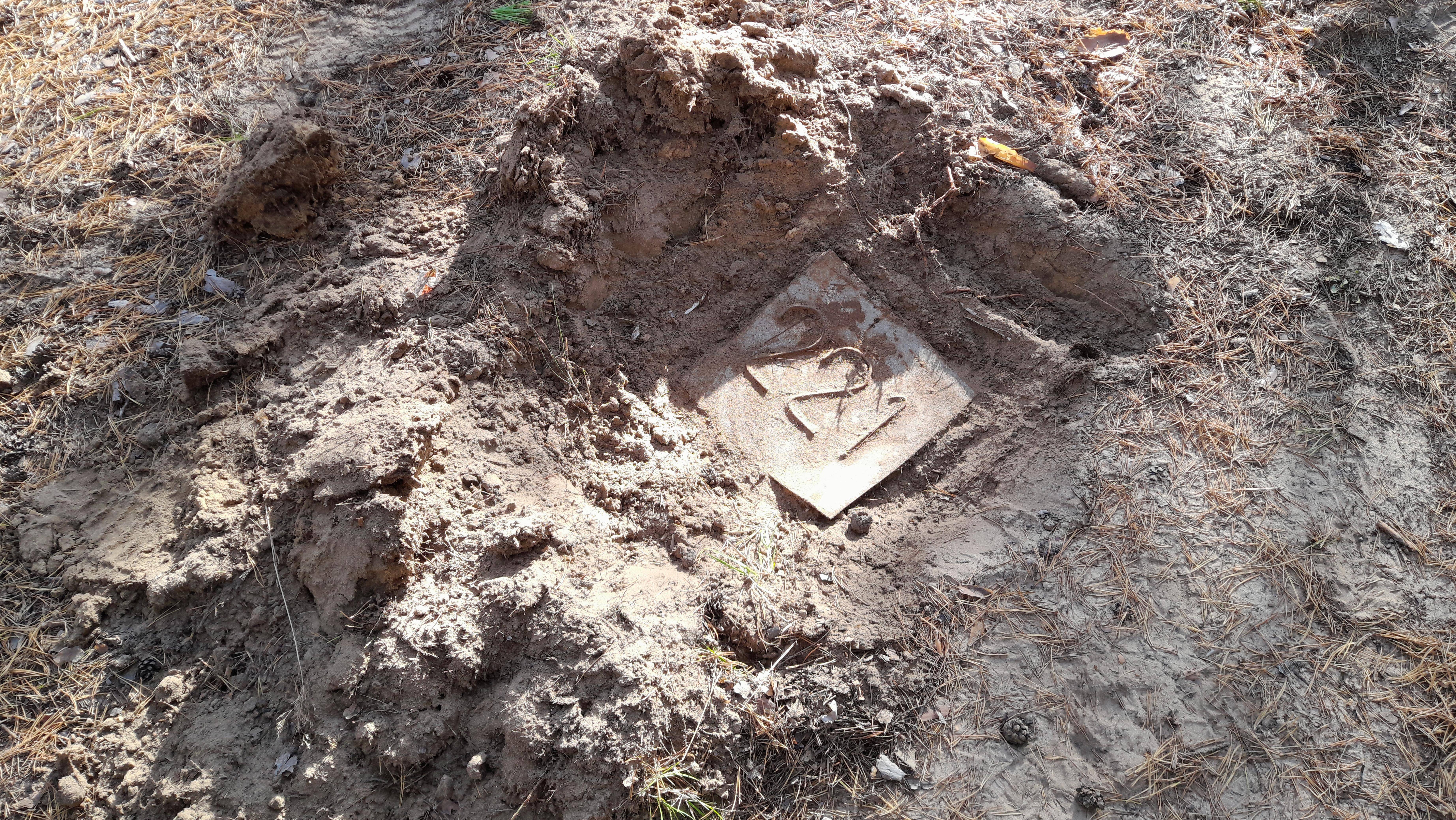 Коп в лесу и загадка пластины с цифрами [221]