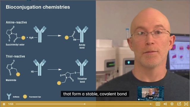 Конюгаты Sell signaling