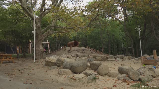 Милютинский парк в Алупке: полностью обновлённое общественное пространство для всей семьи