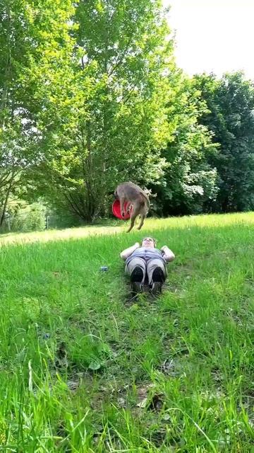 БТ Шани - барьер через корпус, бросок раскручивание