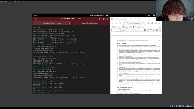 ОАОС.Выполнение лаб№6 Перфилов А.К НПИбд-03-24