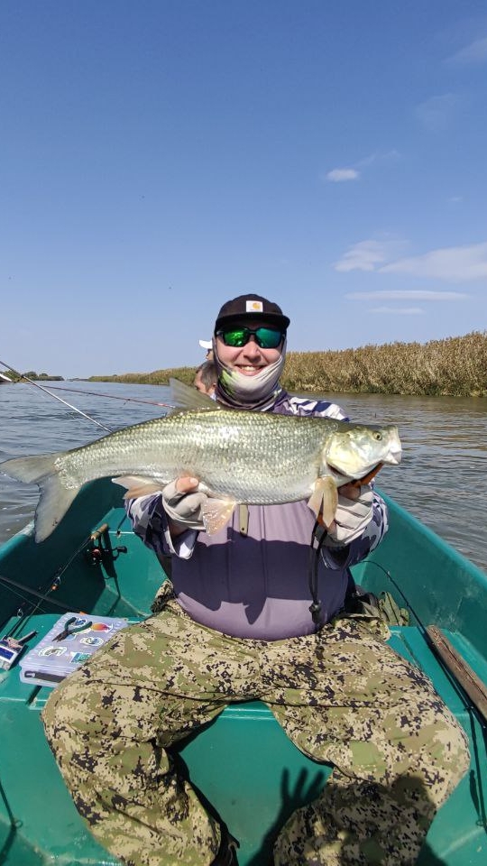 РЫБАЛКА В АСТРАХАНИ! ДЕНЬ ВТОРОЙ! #рыбалка #fish #fishing #природа #отдых #рыба #shorts #красота