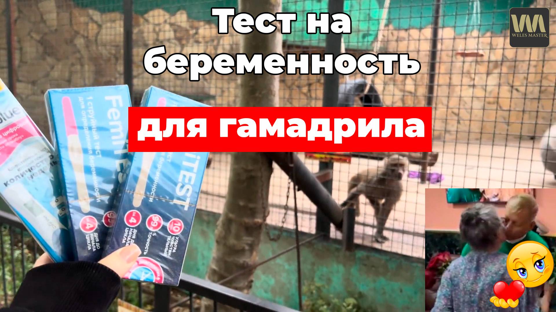Гамадрилу Люсе фрики Алексагины делаю тест на беременность, 7 октября