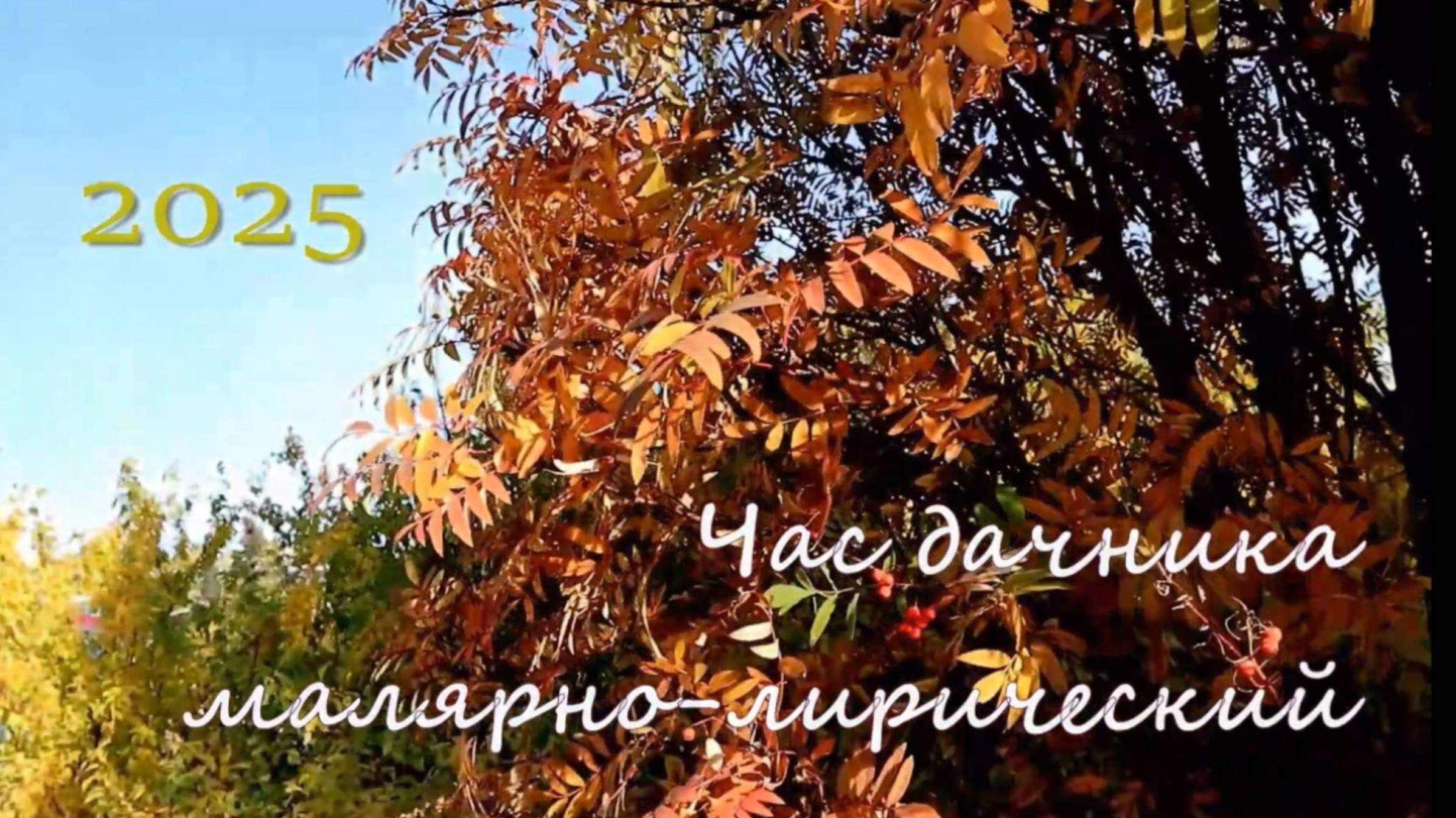 Час малярно-лирический