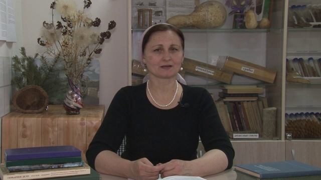 Живая природа 11.01.24  (Тыква)