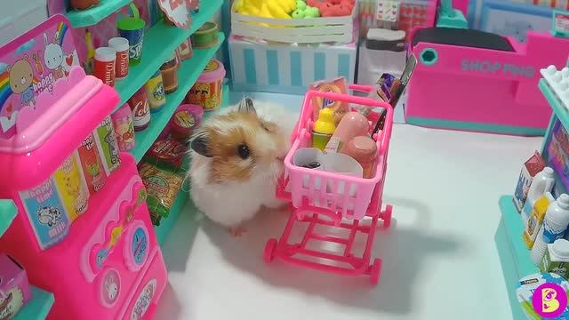 ХОМЯЧКИ в СУПЕРМАРКЕТЕ или ДЕНЬ ПОКУПОК у СНЕЖКИ СТЕПАНОВНЫ