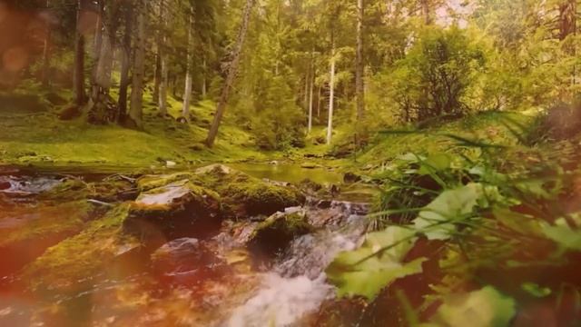 Гомер юлынан утэм