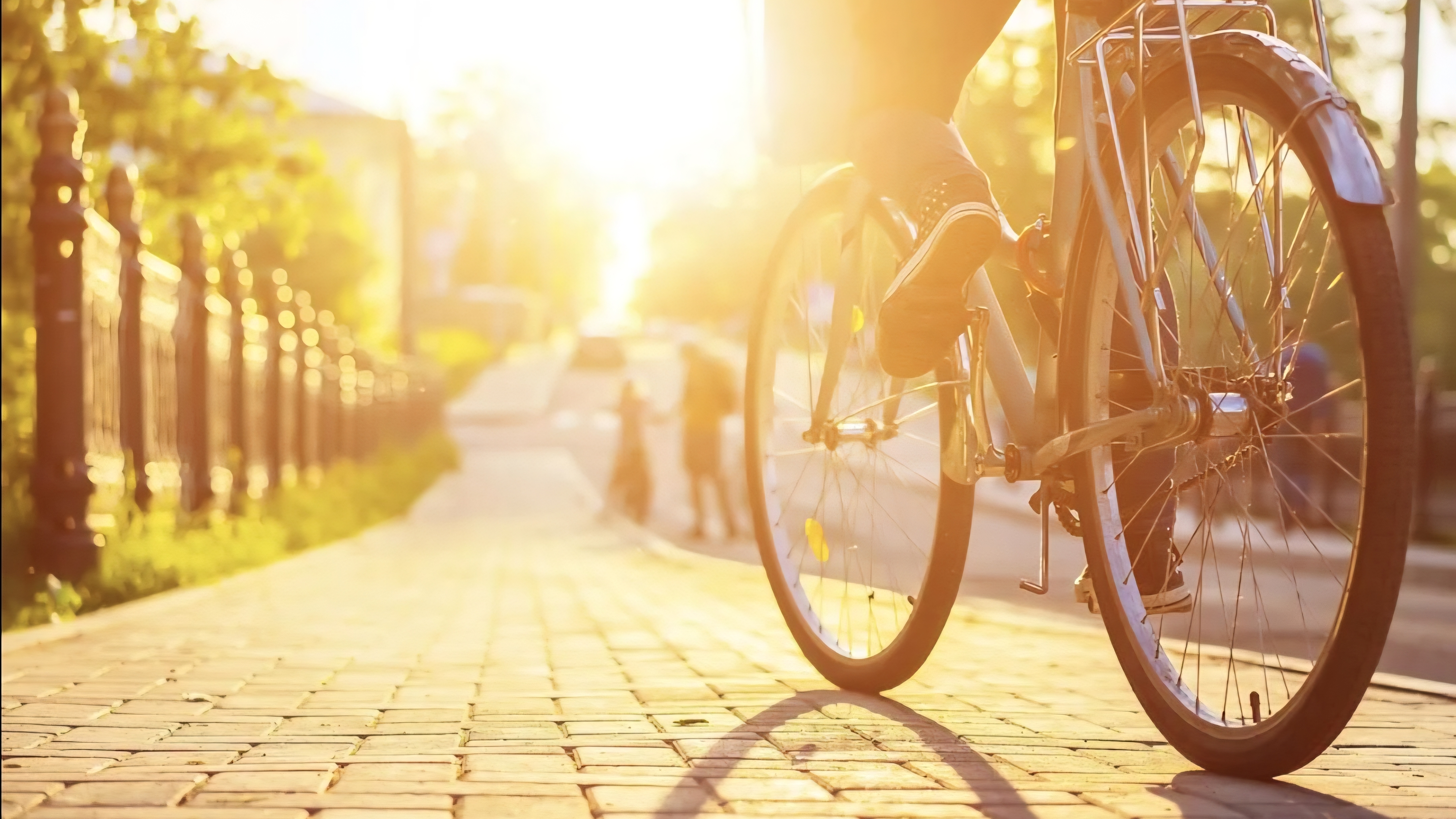 Первая октябрьская велопрогулка