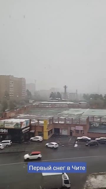 Первый снег .06.10.2025