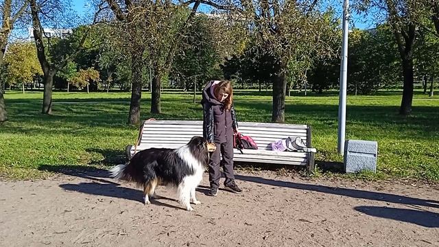 Упражнение на вращение вокруг неподвижной руки, Макс