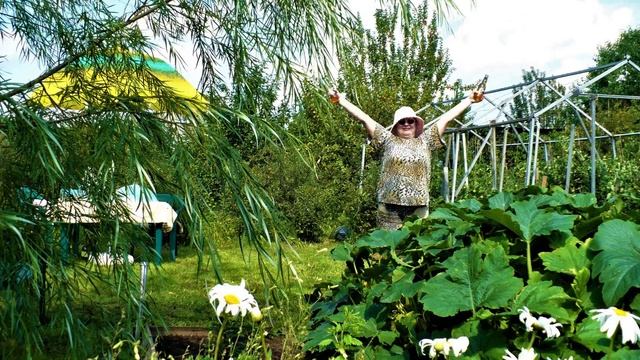 Вся наша жизнь - искусство