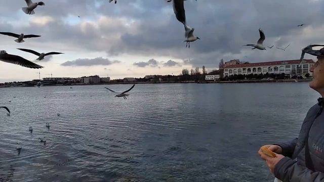 Кормление в воздухе