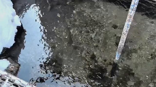 родник в деревне зимой.