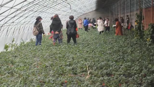 ПОЕЗДКА В КИТАЙСКУЮ ДЕРЕВНЮ