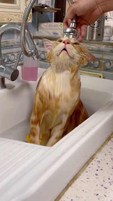 #кайфы#+вайб