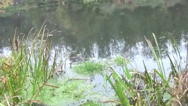 НОВОСТИ НА РЫБАЛКЕ