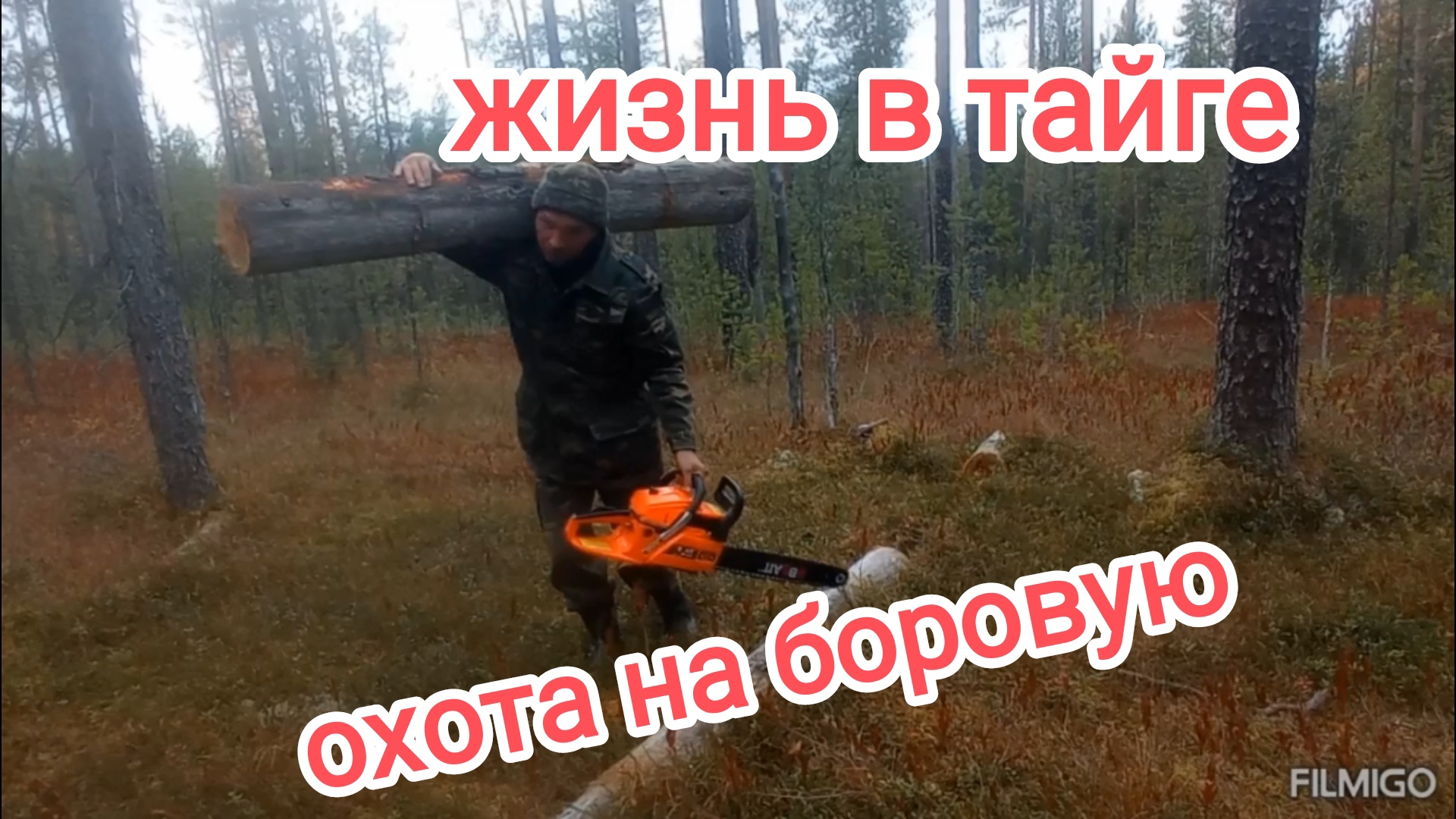 Жизнь в тайге. Охота на боровую.