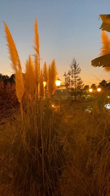 До свидания, Сочи. Я обязательно вернусь.