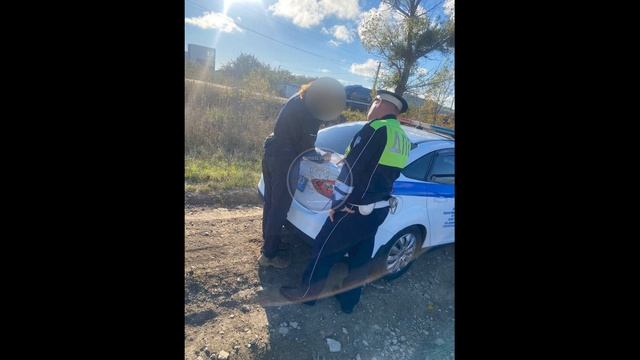 Сотрудниками полиции за опасный маневр на дороге была привлечена к ответственности местная жительниц