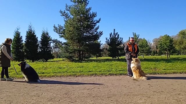 Нормативный подзыв с фронтальной посадкой. Вилли и Вик, октябрь 25