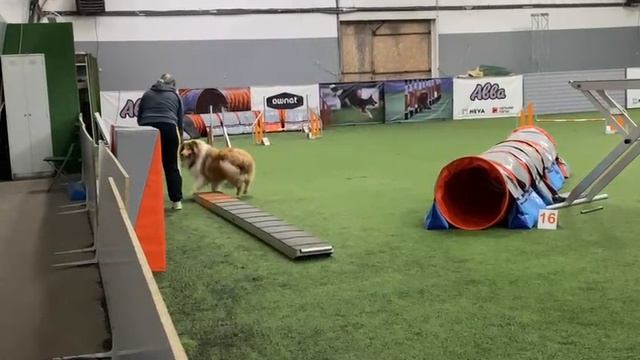 Вик, тренировка октябрь 25 -3