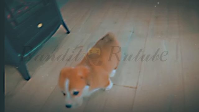 Ой новый ник☺