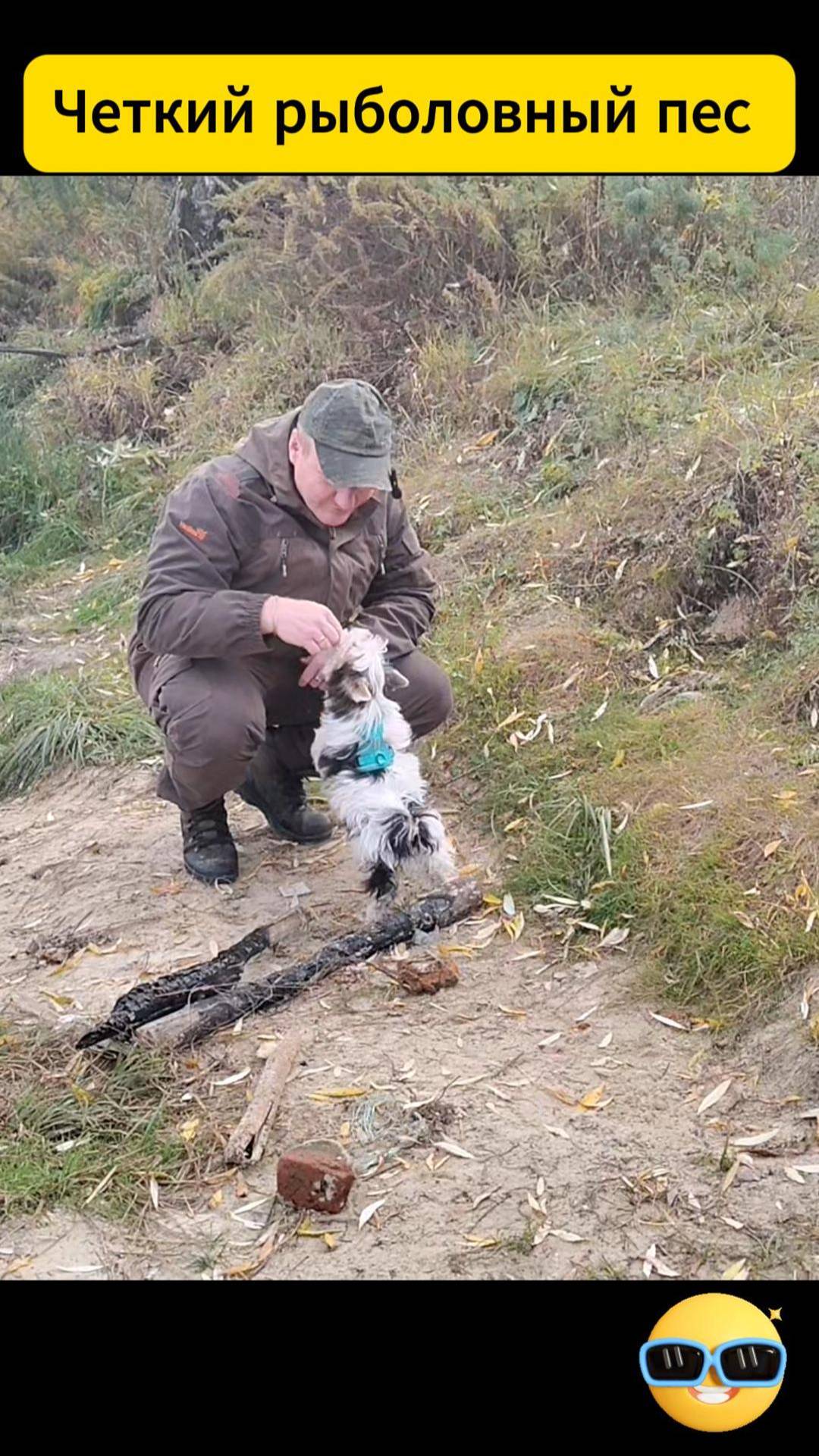 Рыболовный пес. Лютоволк ) #терьер #пес #нарыбалкессобакой #рыболовнаясобака #лютоволк #прикол