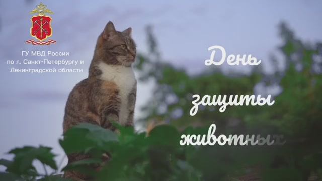 В день защиты животных - о питомцах сотрудников петербургской полиции