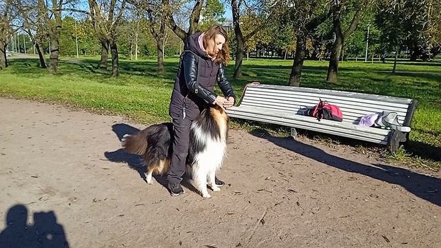 Упражнение на хождение боком в "домике", Макс