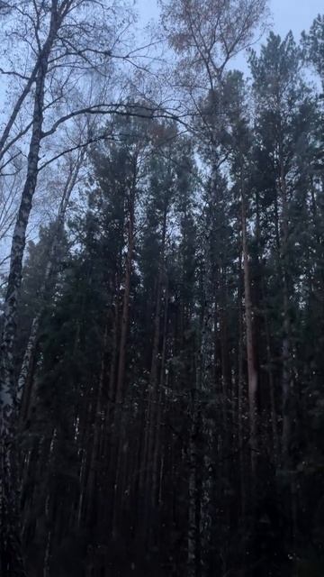 Красноярск