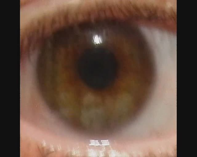 Лепетан Мор Фильм Чудеса на Радужке глаз 2 ч Первая в Мире галерея Живых Шедевров А.М.Кашпировского