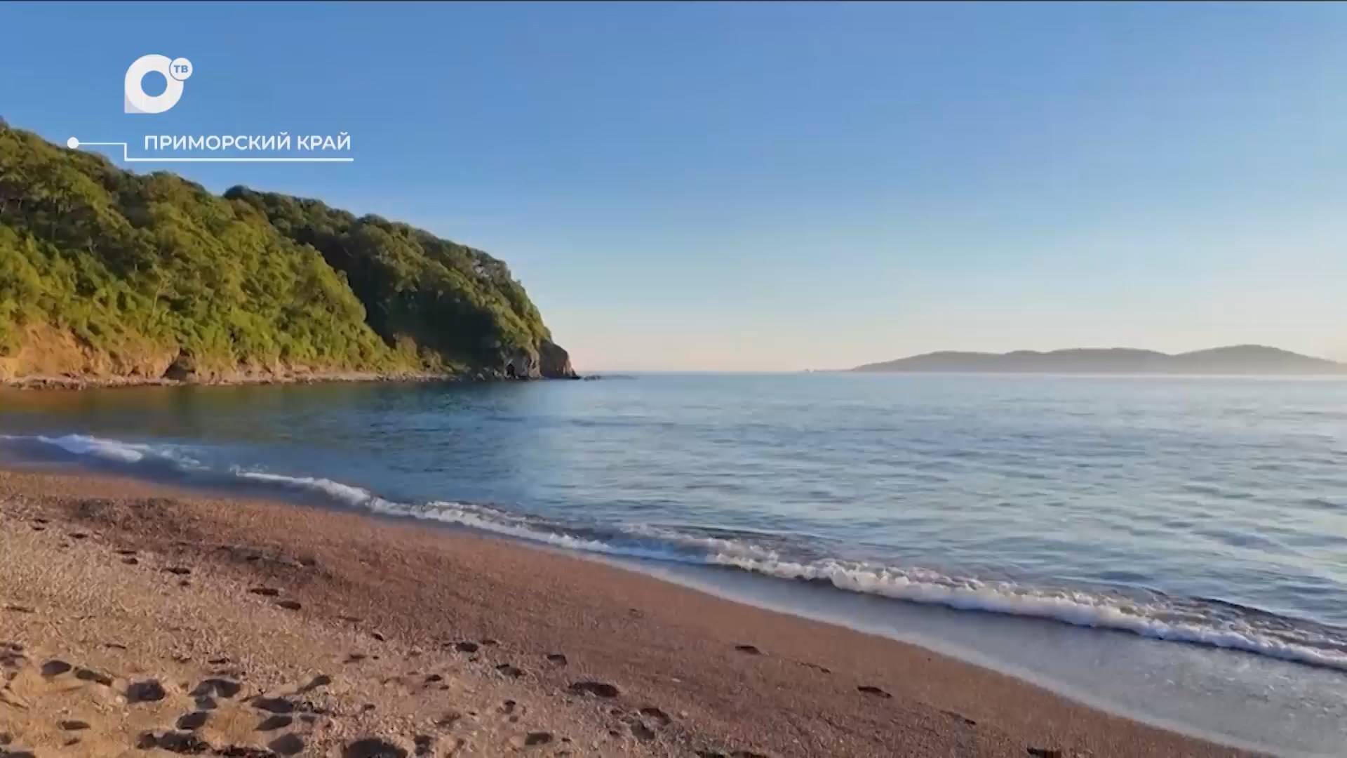 Разведка блогом / 07.10.25