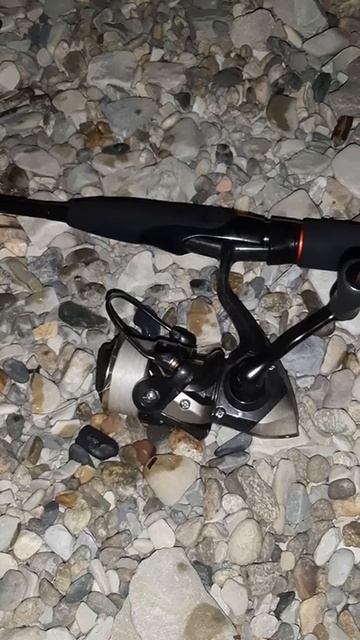 Тёмный горбыль