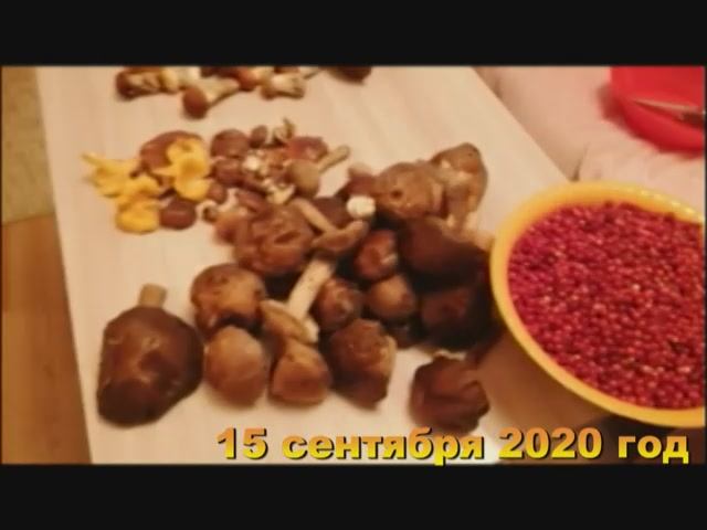 7 соток. И за грибами, и за брусникой, и заготовки на зиму надо успеть все. 15 сентября 2020 год