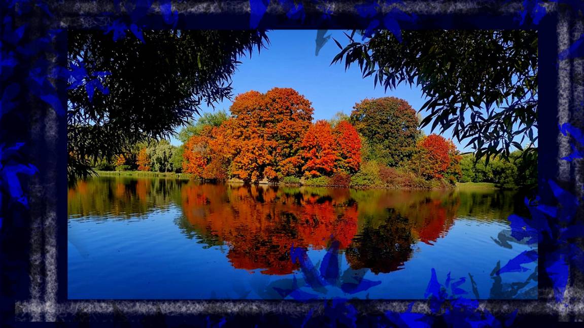 Парк им. Ленина. Октябрь. (обещала взять вас с собой на осеннюю прогулку)