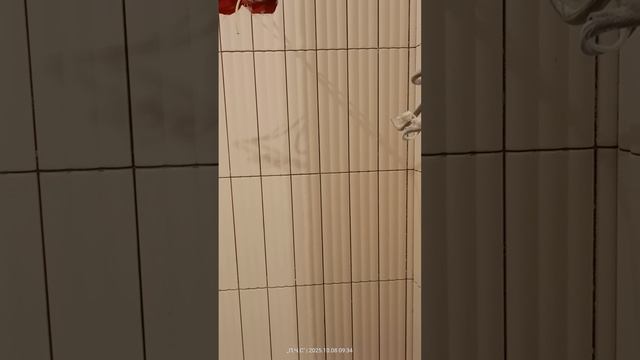 Настенная плитка душевая, и санузел завершающая стадия ремонт под ключ