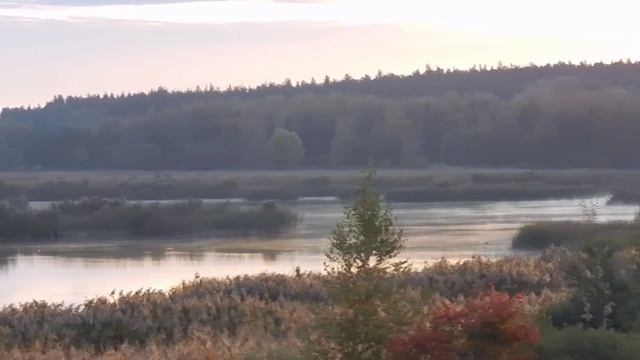 Лебеди озеро Ильмень Рассвет