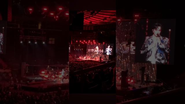 "Love's not over yet" и "Лебеди"