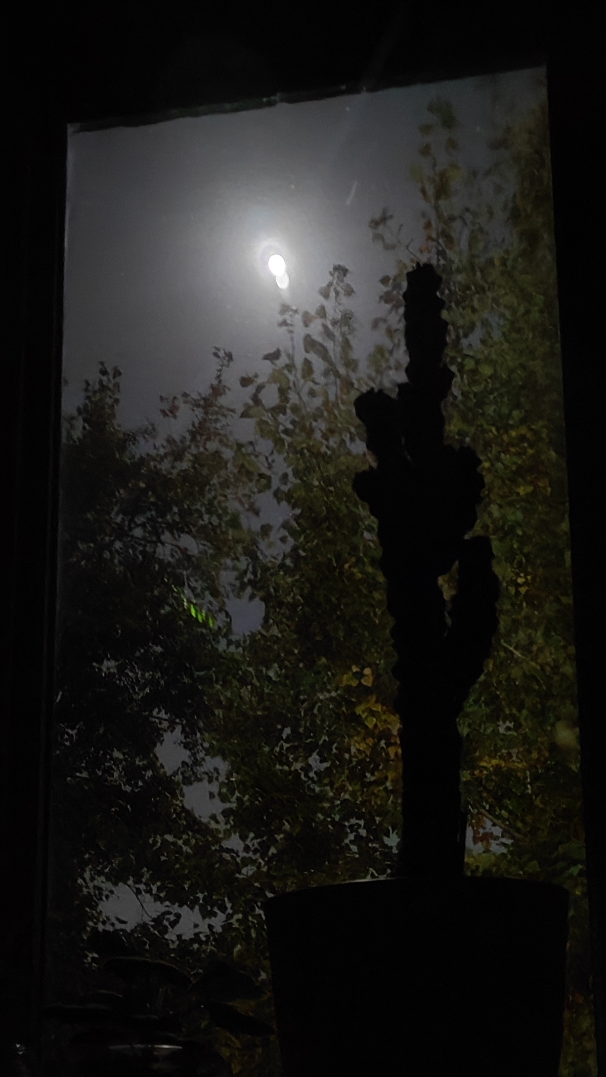 Лунная ночь 08-10-2025