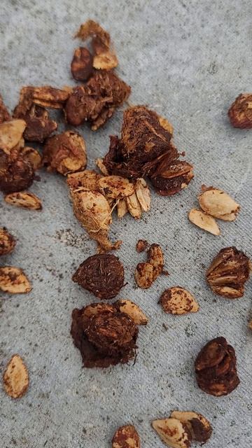 Странная находка на даче часть 1