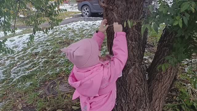 Вешаем кормушку для птиц