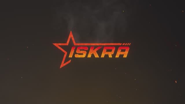 Упругие элементы для торовых муфт ISKRA