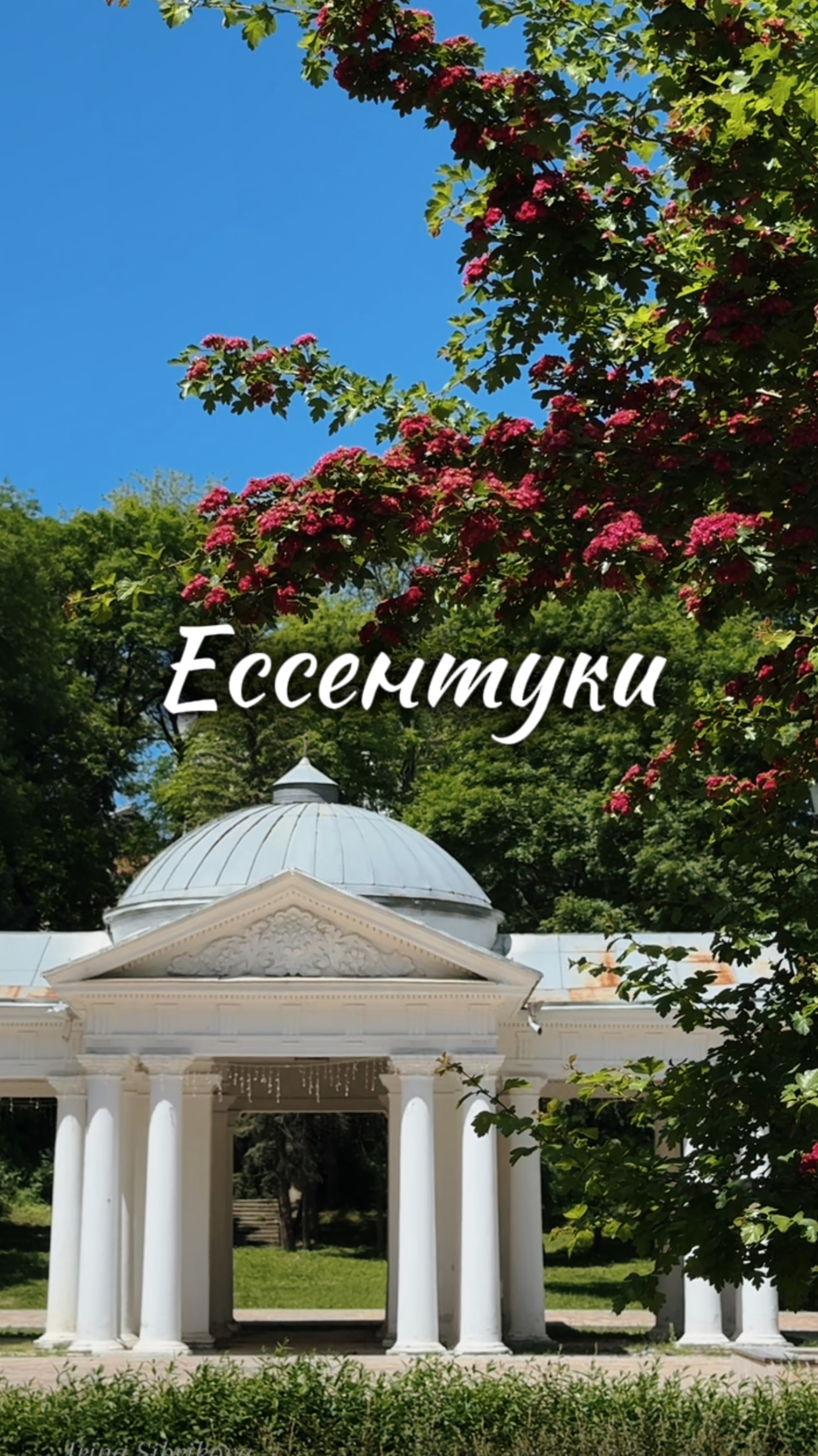 ЕССЕНТУКИ - город в котором хочется жить!🥰