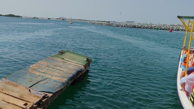 ОАЭ Отель Фламинго 🦩, берег моря 20.09.2025