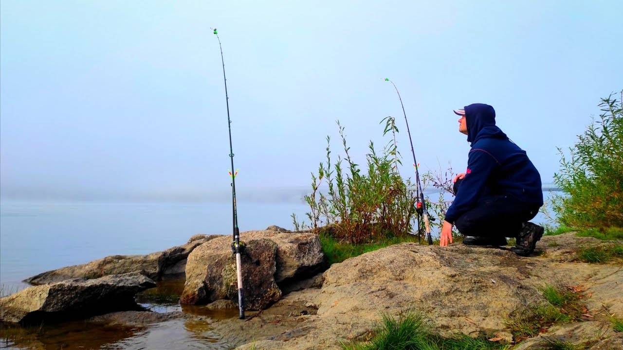 УПЛЫЛ НА ОДИНОКИЙ ОСТРОВ ОДИН! Закинул донки на ЖИВЦА и СУДАК вышел! Рыбалка 2025