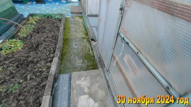 7 соток. Погода в Выборге. Поездка на дачу. 30 ноября 2024 год-